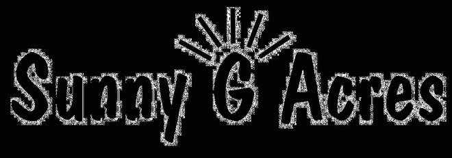 Sunny G. Net Worth 2023: Wiki Bio, Married, Dating, Family, Height, Age ...