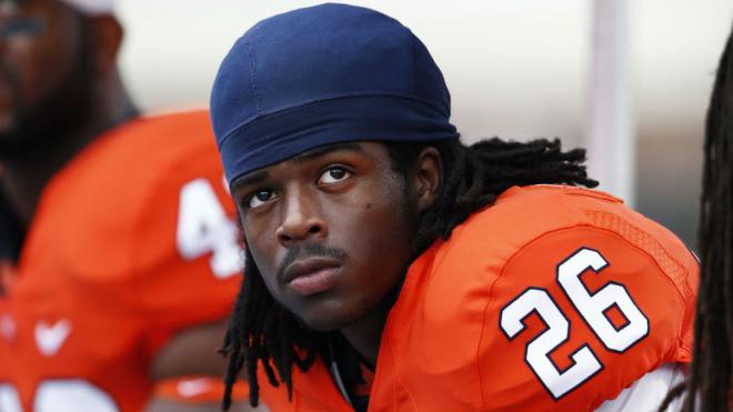 Ellora Torchia Net Worth 2021 Wiki Bio Age Height