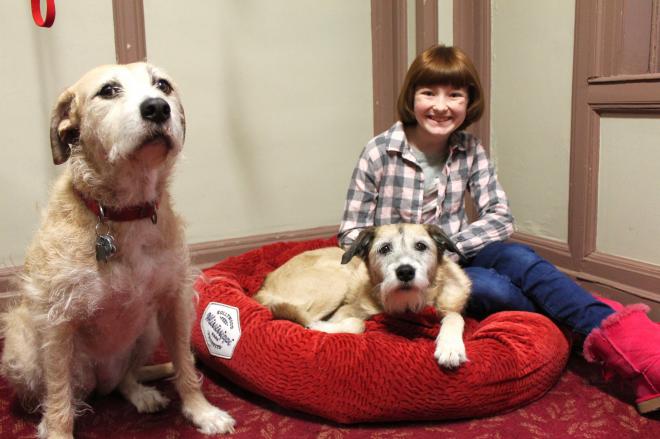 Heidi Gray Net Worth 2024: Wiki Bio, Married, Dating, Family, Height ...