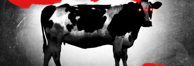 Apocalypse Cow Net Worth 2023: Wiki Bio, Married, Dating, Family ...