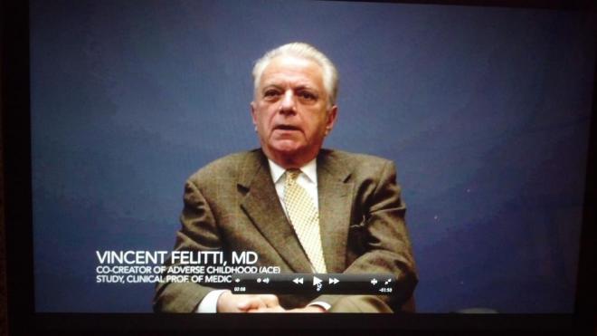 Vincent Felitti Quotes